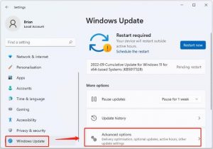 5 Ways to Stop Windows 11 Auto Updates (2023 Update)